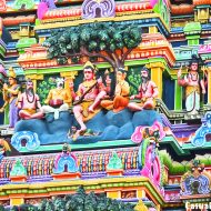 Complete Guide to Music Festivals in Chennai 2024 : All Sabha Schedules ...