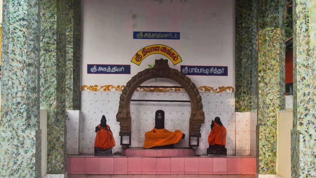 Basha Halwawala - 100 Years Old Best Traditional Dum Ka Roat Halwa ...